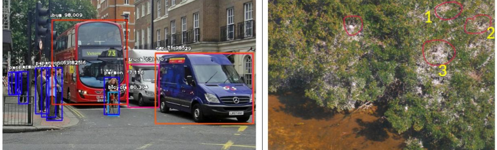 Detection of bird nests using deep learning to support annual colonial bird monitoring efforts ...